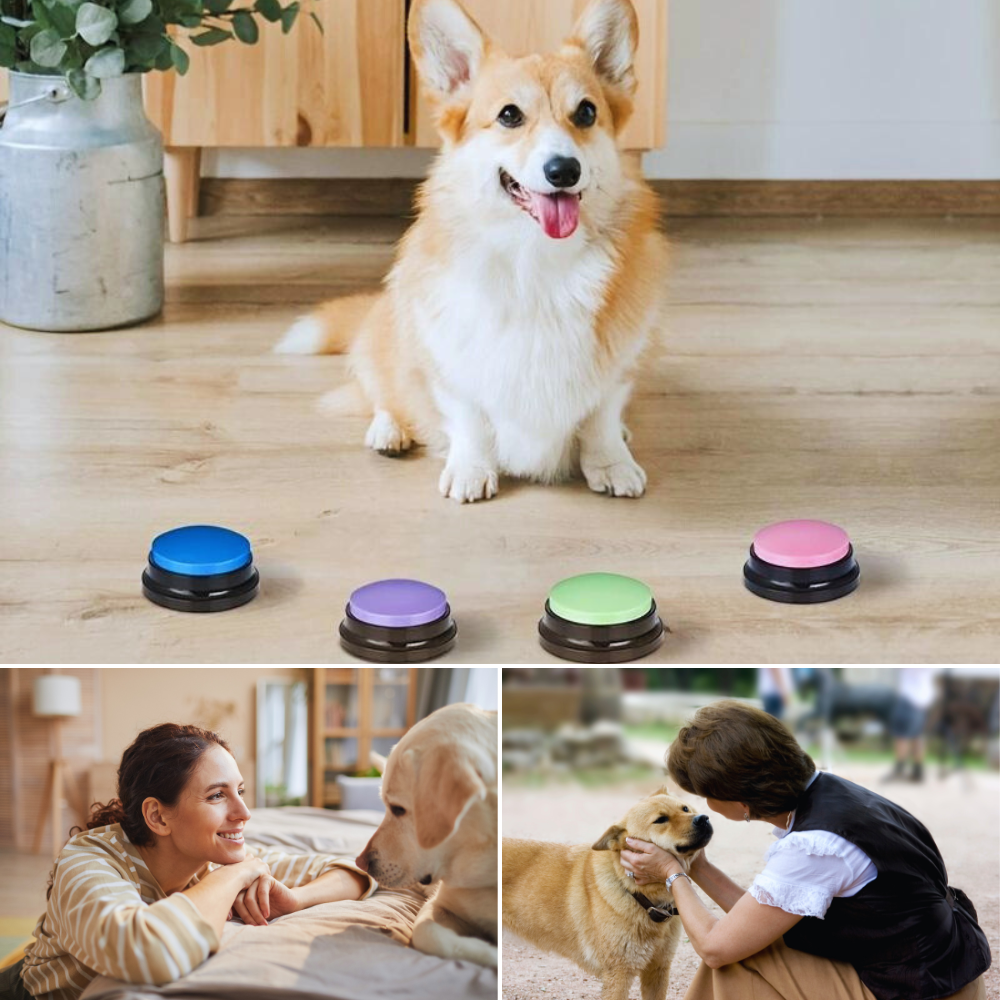 Transform Training Time: Best Talking Buttons For Dogs